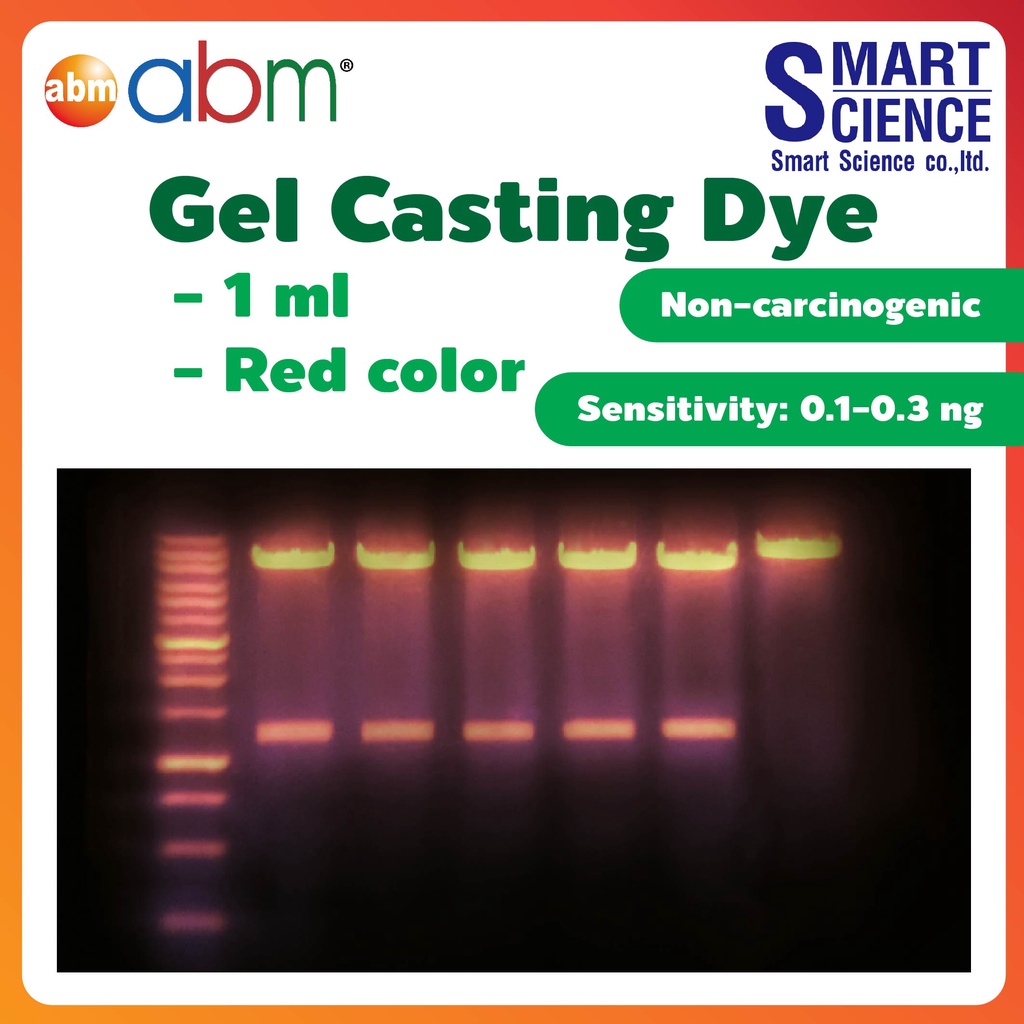 abm® SafeView FireRed Gel Casting Dye gel stain nucleic acid agarose ...