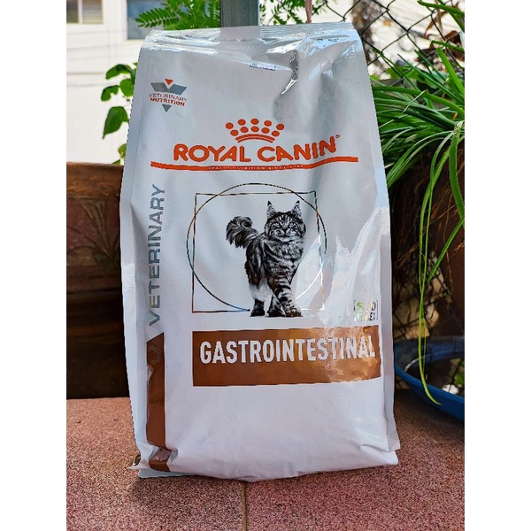 Royal Canin Gastrointestinal Cat อาหารแมวประกอบการรักษาโรคทางเดินอาหาร ...