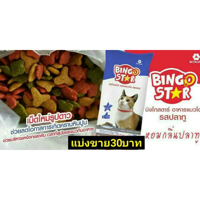 อาหารแมวbingo star(แบ่งขายขนาด500กรัม) ของเบทาโกร | Shopee Thailand