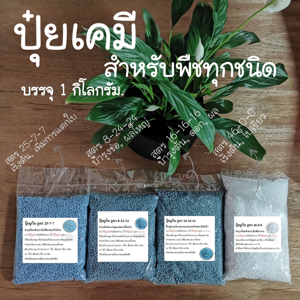 ปุ๋ย ปุ๋ยเคมี 1กิโลกรัม สูตร 46-0-0 สูตร16-16-16 สูตร25-7-7 สูตร8-24-24 ...