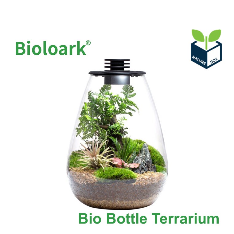 Bioloark SD Series (Biolark) (มีสินค้าพร้อมส่ง) ไบโอลาร์ค โหล Terrarium ...