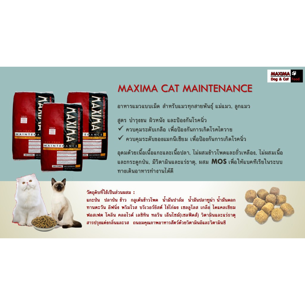 MAXIMA CAT MAINTENANCE 2 KG อาหารเม็ด เนื้อแกะ สำหรับแมว 2 กก. แถมฟรี ...