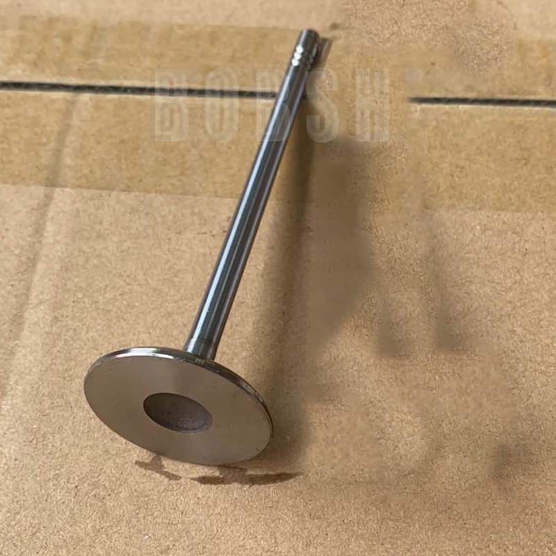 Car Cylinder head intake valve assembly 2014-Mas era tiQ uat tro por ...