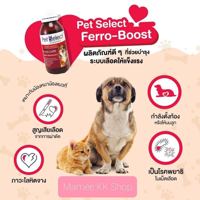 FERRO BOOST Pet Select ปี 2025🏅ของแท้ เร่งบำรุงเลือดด่วน🩸เข้มข้น ผ่าตัด ...
