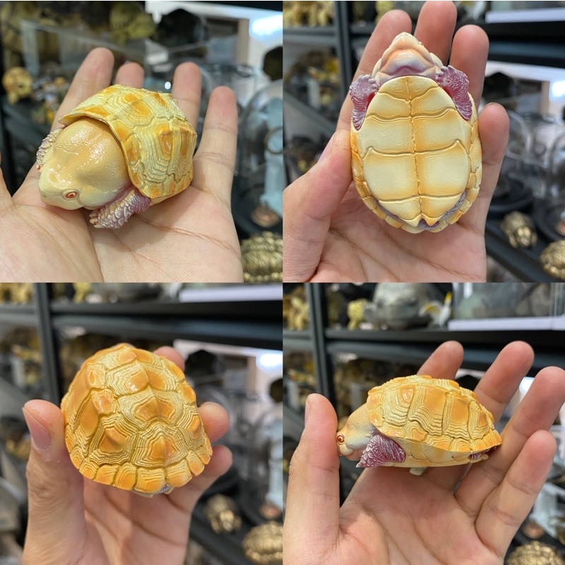 bighead series snipping turtle figurines recast โมเดลเต่าตัวเล็ก ...