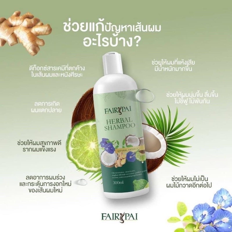 แชมพู แฟรี่ปาย Fairy Pai ขนาด 300 ml. | Shopee Thailand