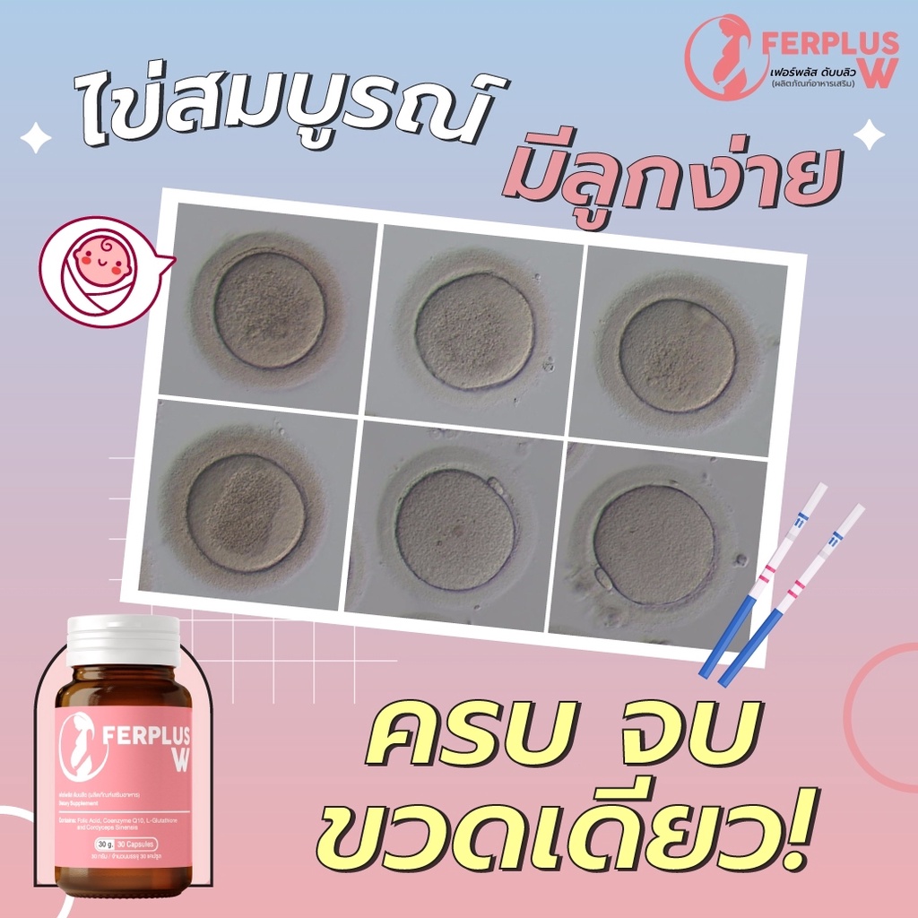อาหารเสริมคนอยากมีลูก มีลูกยาก Ferplus W สูตรสำหรับผู้หญิง | Shopee Thailand
