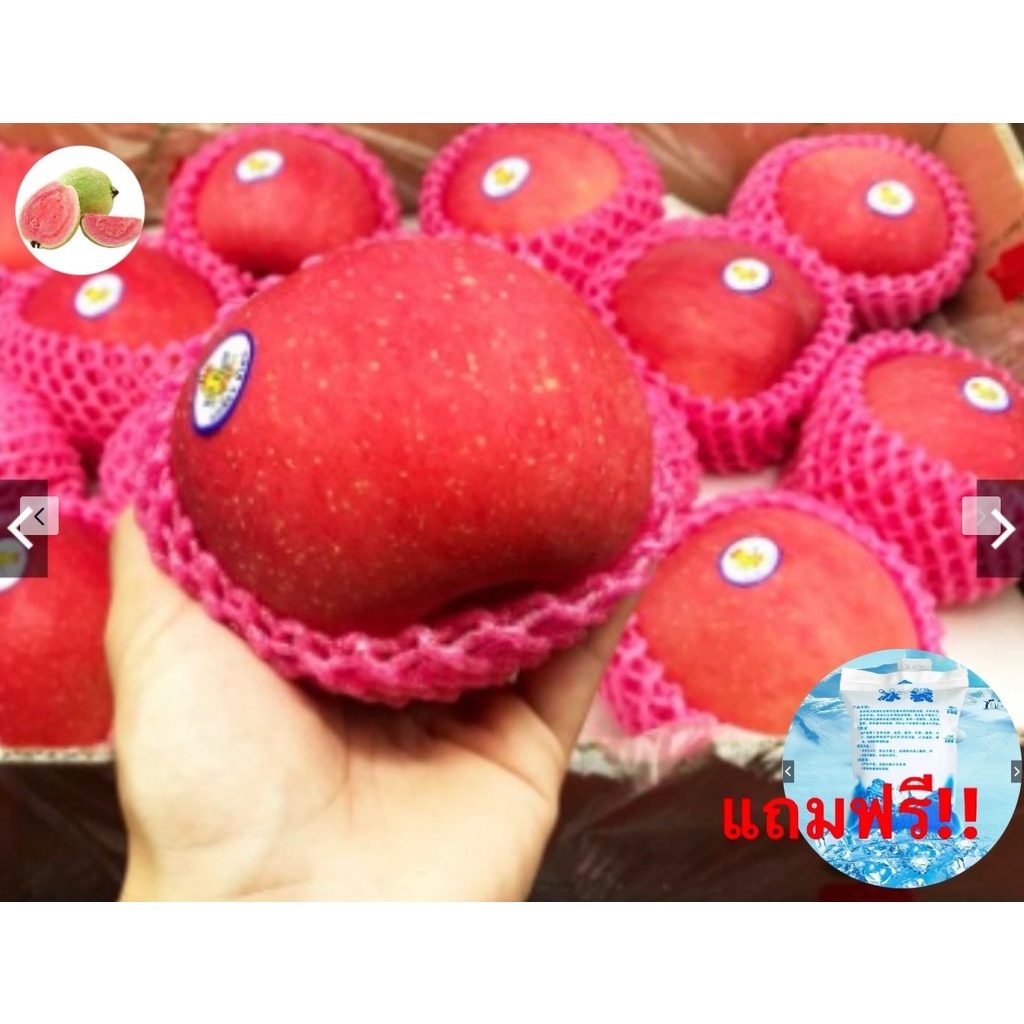 Guava top1แอปเปิ้ลฟูจิ (3ลูก/ไซส์JUMBO) APPLE FUJI (CHN) ~ลดพิเศษ~ ลูก ...