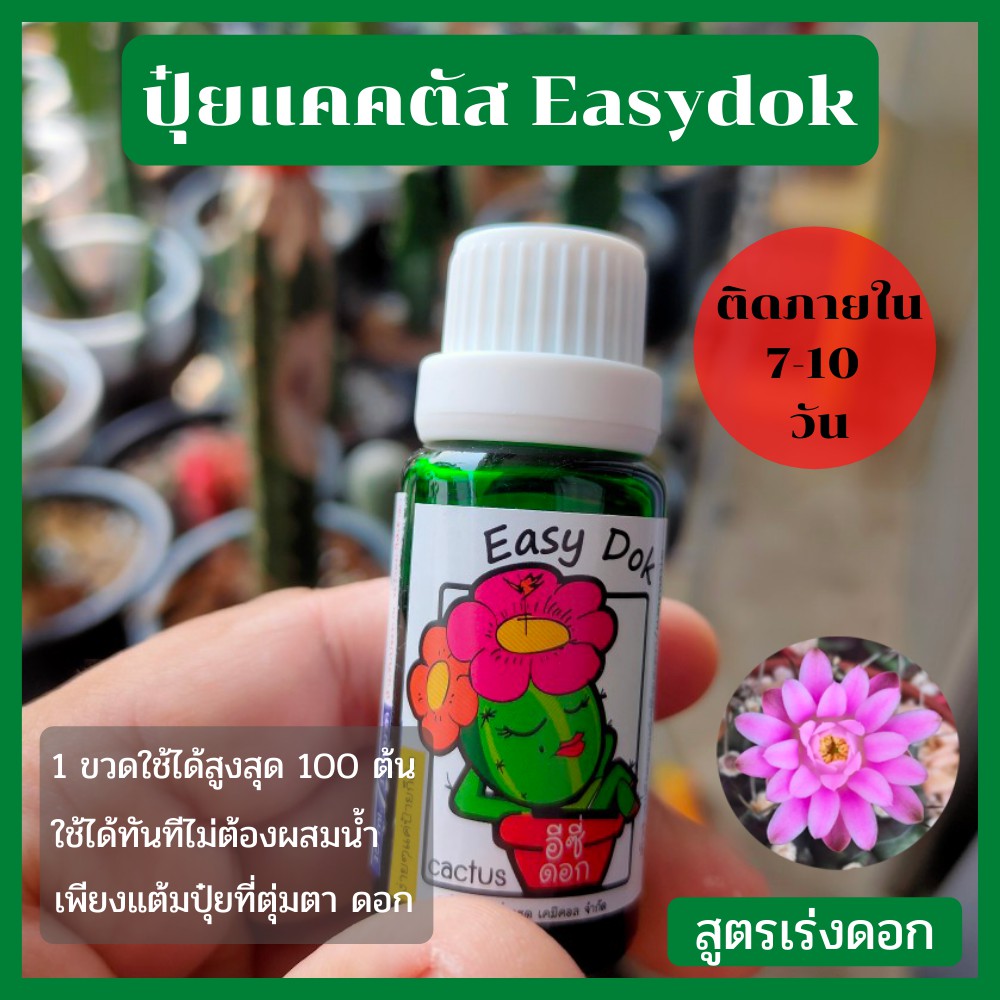 ปุ๋ยแคคตัส Easydok อีซี่ดอก cactus ปุ๋ยเร่งดอก กระบองเพชร แคคตัส ปุ๋ยสูตรน้ำ ใช้งานได้ทันที แค่ ...