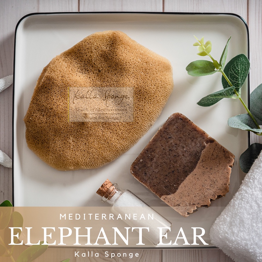 ฟองน้ำธรรมชาติ KALLA SPONGE ชนิด Elephant Ear สีน้ำตาล | Shopee Thailand