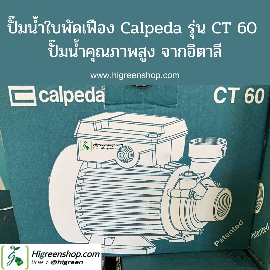 ปั๊มน้ำใบพัดเฟือง Calpeda รุ่น CT 60 ปั๊มน้ำคุณภาพสูง จากอิตาลี | Shopee Thailand