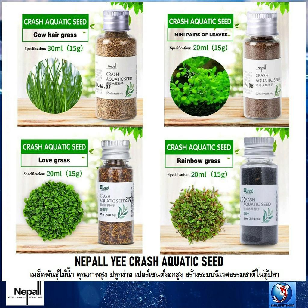 NEPALL,YEE CRASH AQUATIC SEED(เมล็ดพันธุ์ไม้น้ำ คุณภาพสูง ปลูกง่าย เปอร์เซนต์งอกสูง สร้างระบบ ...