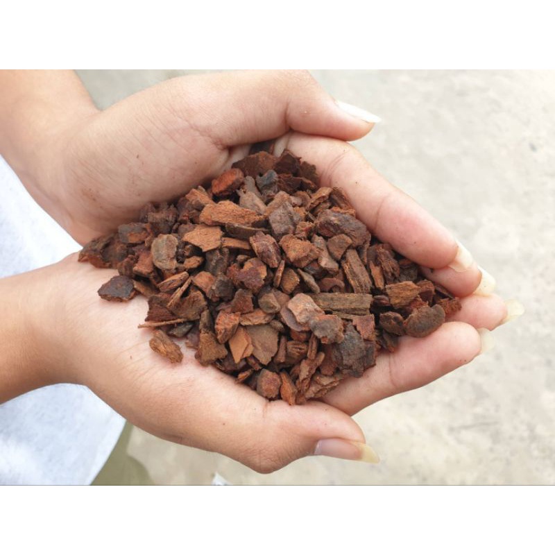 เปลือกไม้สนจากนิวซีแลนด์No.2 ขนาด6-9mm.บรรจุถุง500g. | Shopee Thailand