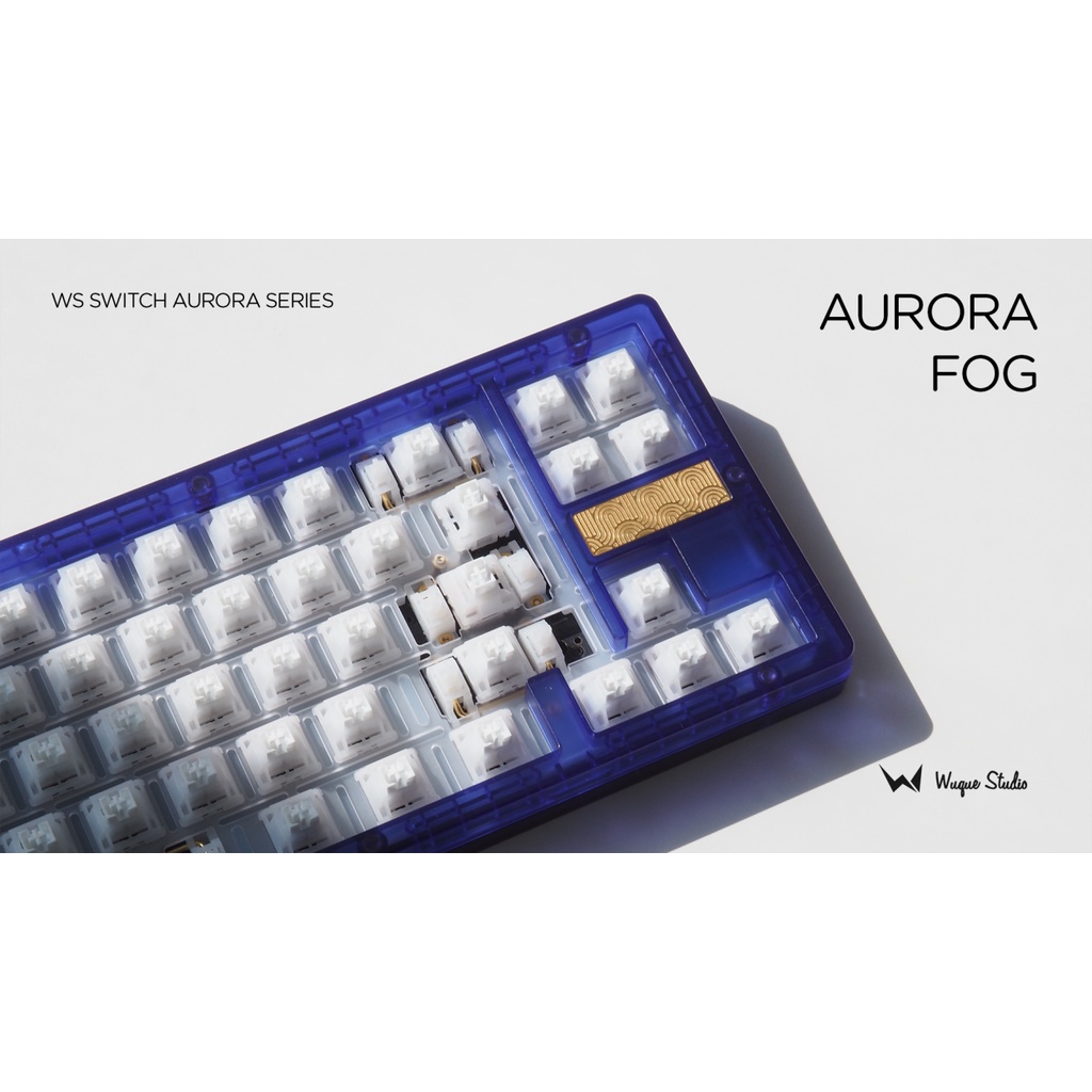 WS Switches Aurora Series x 10 pcs | Shopee Thailand