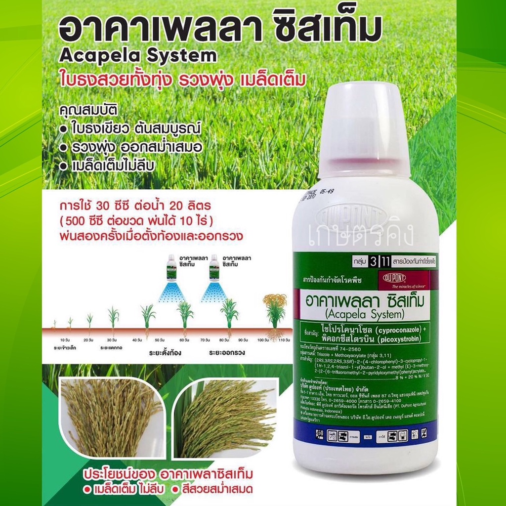 อาคาเพลลา ซิสเท็ม Acapela System ขนาด 500 ซีซี. ยาเชื้อรา โรคเมล็ดด่าง ...