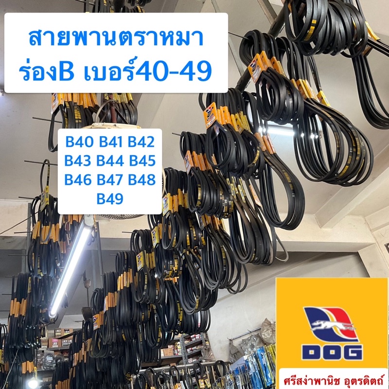 สายพานตราหมา ร่องB เบอร์40-49 / B40, B41, B42, B43, B44, B45, B46, B47, B48, B49 | Shopee Thailand