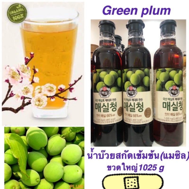 Green plum syrup บ๊วย ขวดใหญ่ 1025g | Shopee Thailand