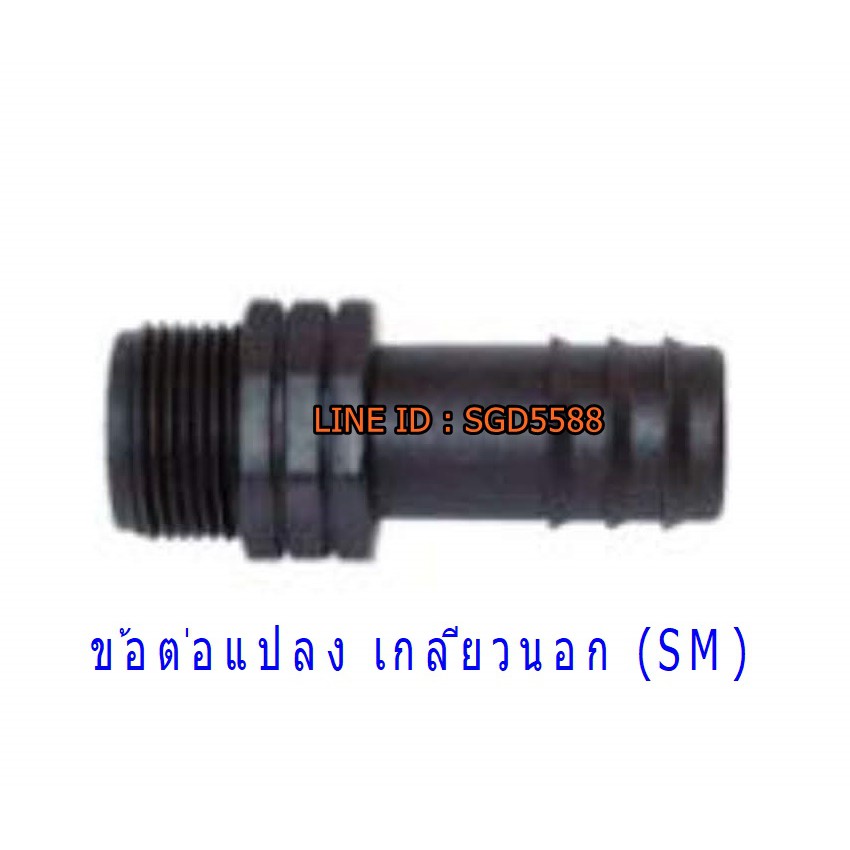 ข้อต่อแปลงเกลียวนอก (SM) (PACK 20) | Shopee Thailand