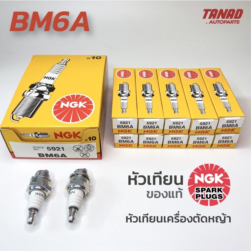 หัวเทียน NGK BM6A หัวเทียนเครื่องตัดหญ้า 2 จังหวะ ของแท้ | Shopee Thailand