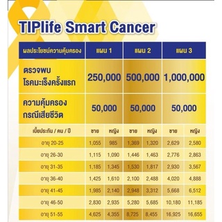 ประกันมะเร็ง อายุ 20-40 ทิพยประกันชีวิต (TIPLIFE Smart Cancer) | Shopee ...