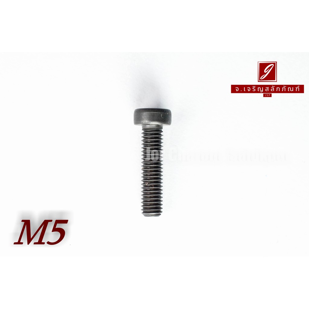 น็อตหัวจมหัวเตี้ยพิเศษ M5x20 | Shopee Thailand