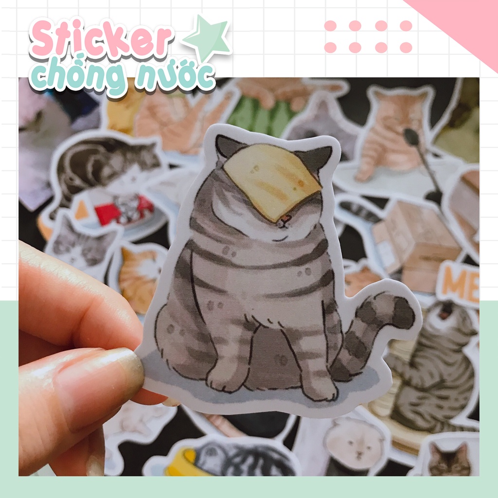 Cat meme sticker Set สติ๊กเกอร์แมวตลก :) | Shopee Thailand