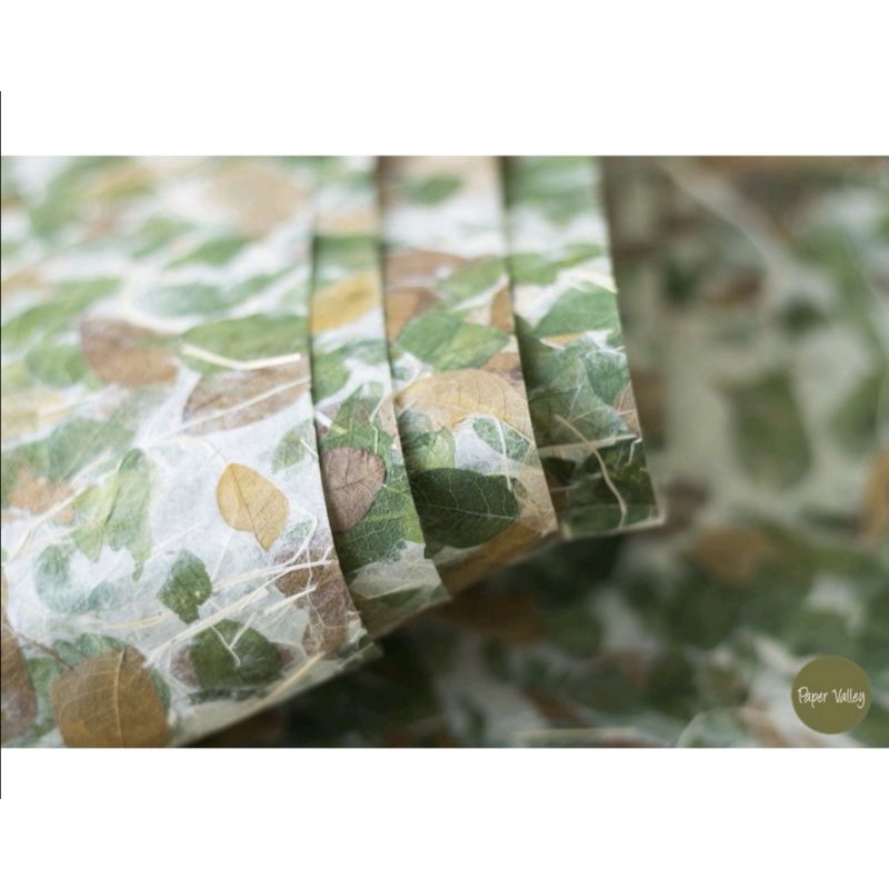 Paper Valley กระดาษสาจามจุรี ชุดโบทานิคอล Raintree Leaf Kozo Paper ...