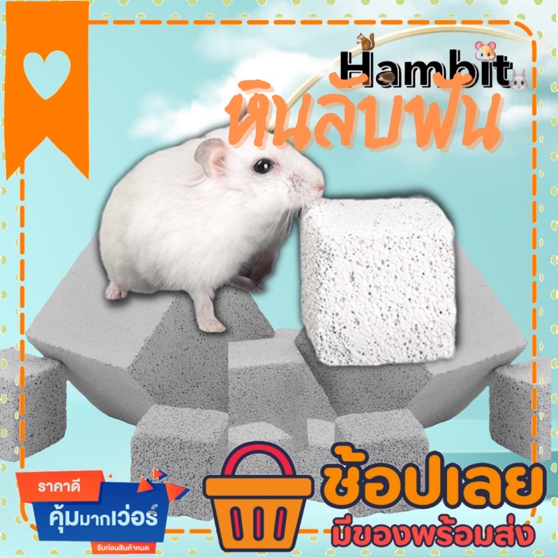 Hambit. หินขัดฟันแฮมสเตอร์ ขัดฟันกระต่าย ขัดฟันหนูแกสบี้ ขัดฟันหนูตะเภา ...
