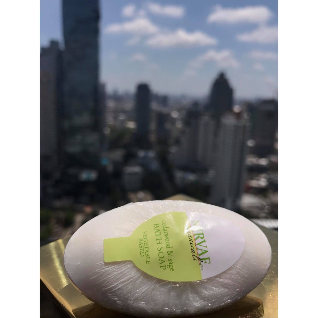 Nirvae Botanicals ผลิตภัณฑ์ อาบน้ำ ขนาดพกพา แชมพู ครีมนวดผม ครีมอาบน้ำ ...