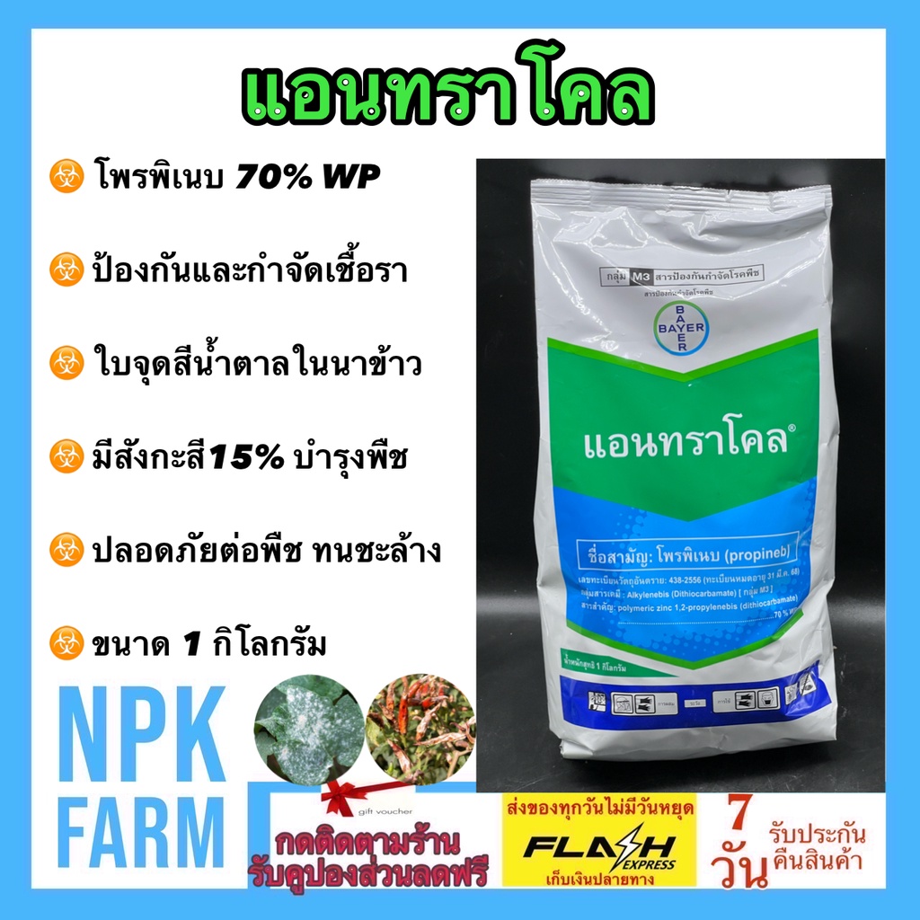 แอนทราโคล 1 กิโลกรัม โพรพิเนบ 70% สารป้องกันกำจัดโรคใบจุดสีน้ำตาล ...