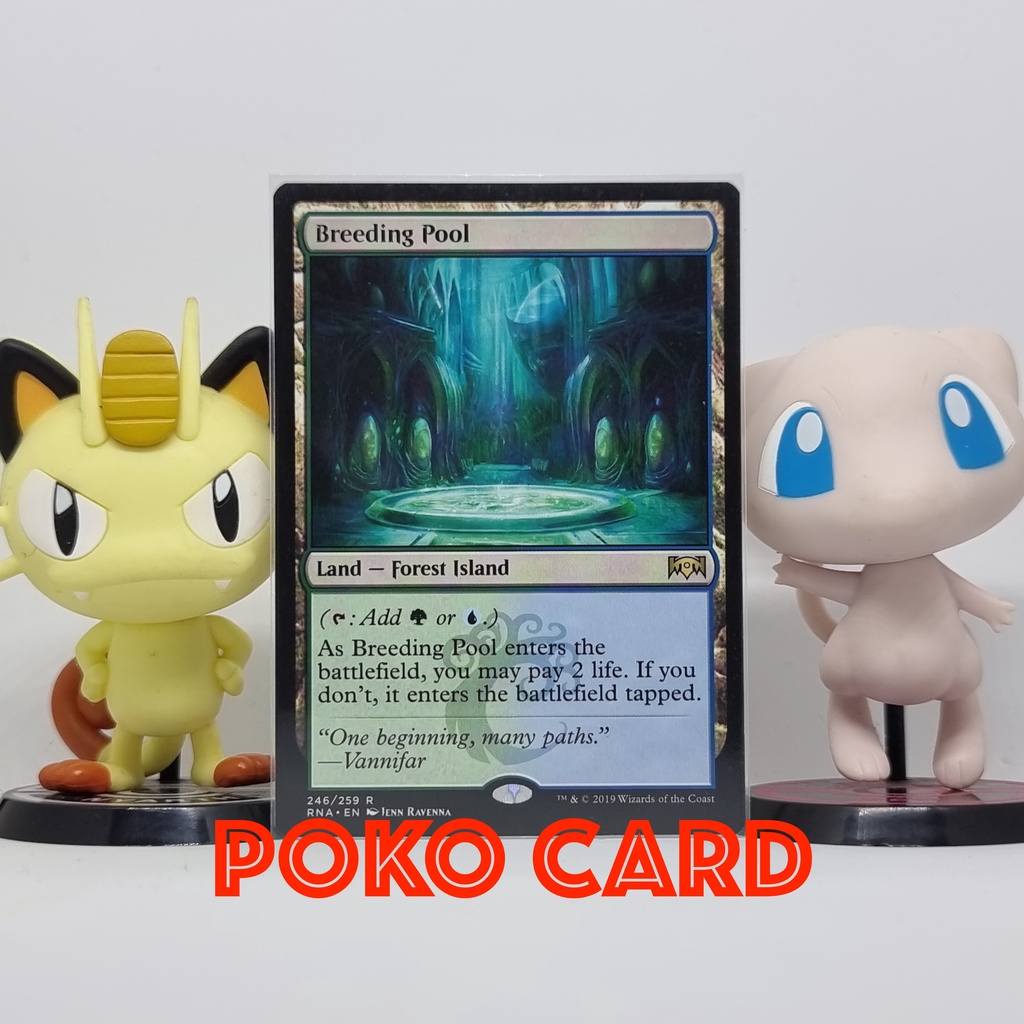 Breeding Pool การ์ด Magic The Gathering ของแท้ จากชุด Ravnica ...