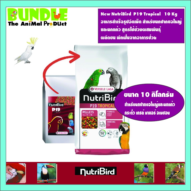 New NutriBird P19 Tropical 10 Kg อาหารสำเร็จรูปอัดเม็ด สำหรับนกปากขอ ...