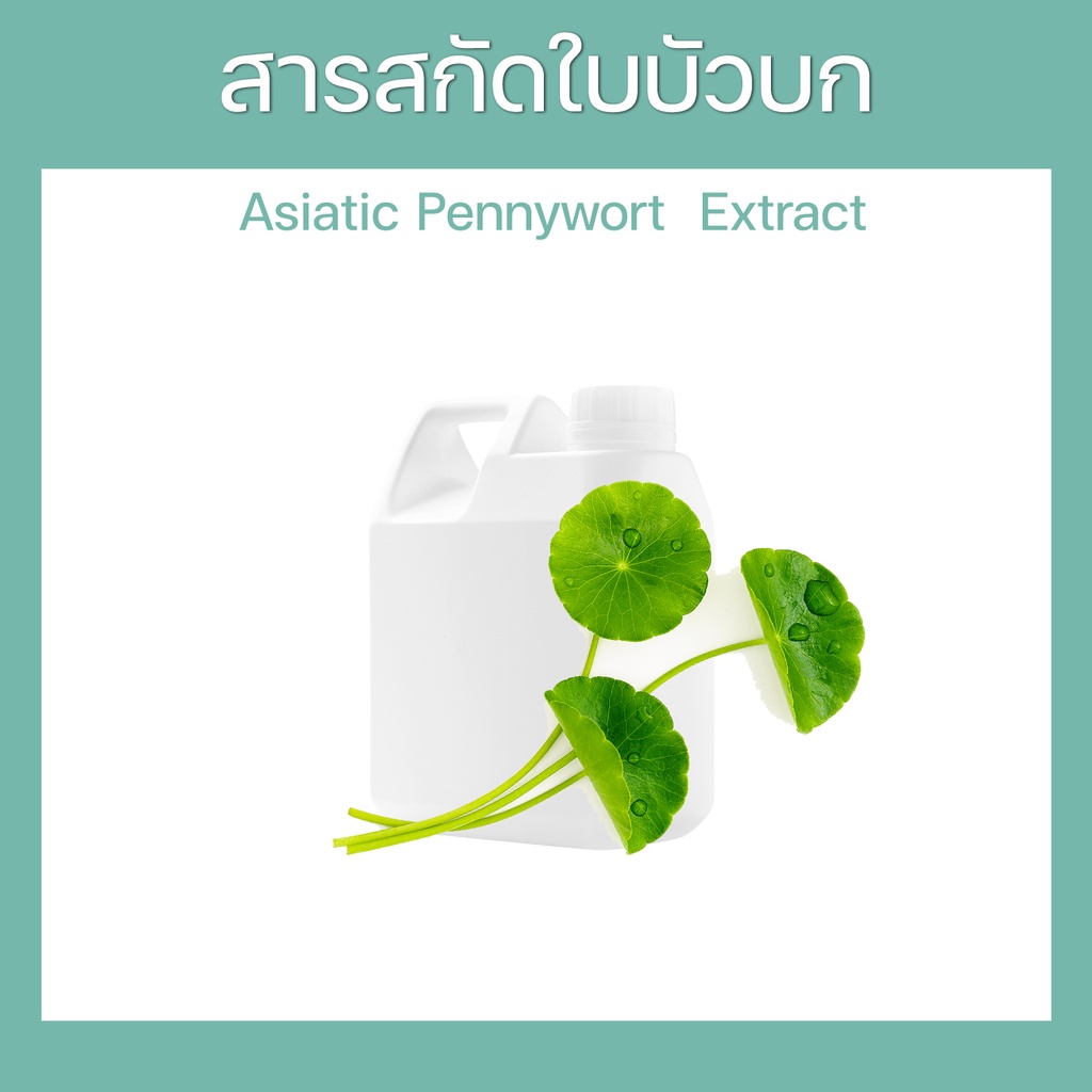 สารสกัดใบบัวบก Asiatic Pennywort Extract ( Centella asiatica leaf ...