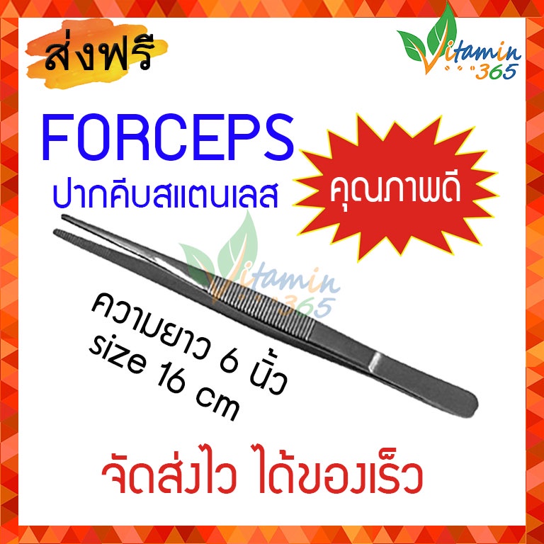 ฟอร์เซบ ( Smooth Forceps ) ปากคีบ คีมคีบ คีมจับ Tweezer สแตนเลส ความยาว ...