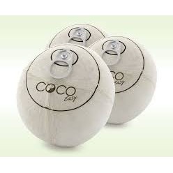 Coco Easy(โคโค่อีซี่) | Shopee Thailand