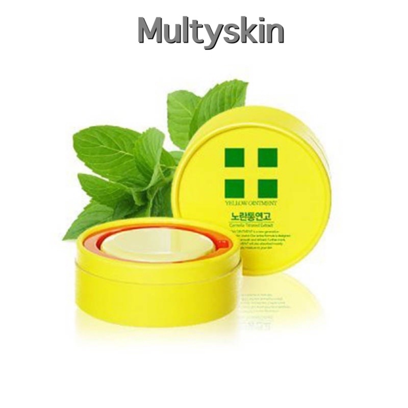แท้/พร้อมส่ง Yellow Ointment Centella Treated Extract 18g | Shopee Thailand