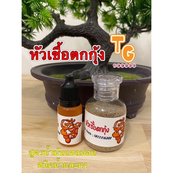 หัวเชื้อตกกุ้ง สูตรน้ำและผง Tgเก้าแสน กลิ่นแซลม่อน | Shopee Thailand