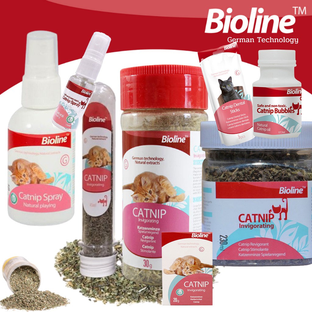 ยอดนิยม* Bioline กัญชาแมว catnip แคทนิปโรยอาหาร ของเล่นแมว แปรงขนแมว พร้อมส่ง | Shopee Thailand