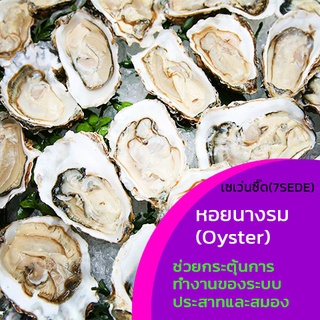 เซเว่นเซเด 7SEDE (Seven Zeed) set 3 กล่อง เพื่อคุณผู้ชาย แก้ปัญหา ...