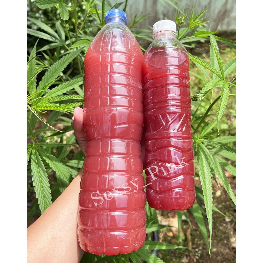 จุลินทรีย์สังเคราะห์แสง หัวเชื้อจุลินทรีย์สังเคราะห์แสง PSB หัวเชื้อแท้ 100% เร่งแตกราก ออกดอก ...