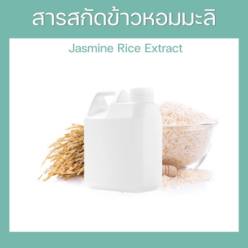 สารสกัดข้าวหอมมะลิ Jasmine Rice Extract ( Oryza sativa ) ชนิดน้ำ สำหรับ ...