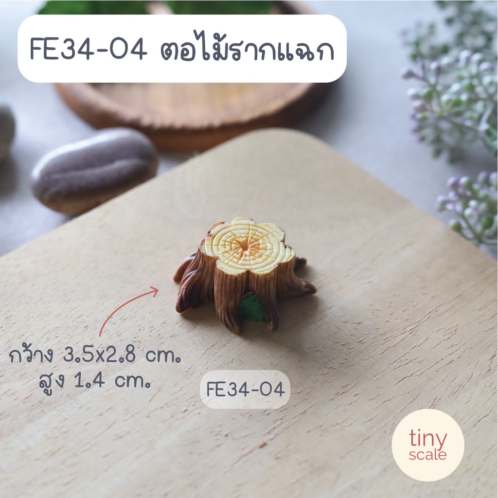 โมเดลตอไม้ สำหรับทำโมเดล ของจิ๋ว ตกแต่งสวนถาด บ้านตุ๊กตา Miniature ...