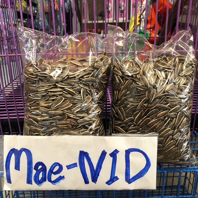 MaeNid ((พร้อมส่ง)) เมล็ดทานตะวันดิบจัมโบ้เกรดA 500 กรัม สำหรับสัตว์ ...