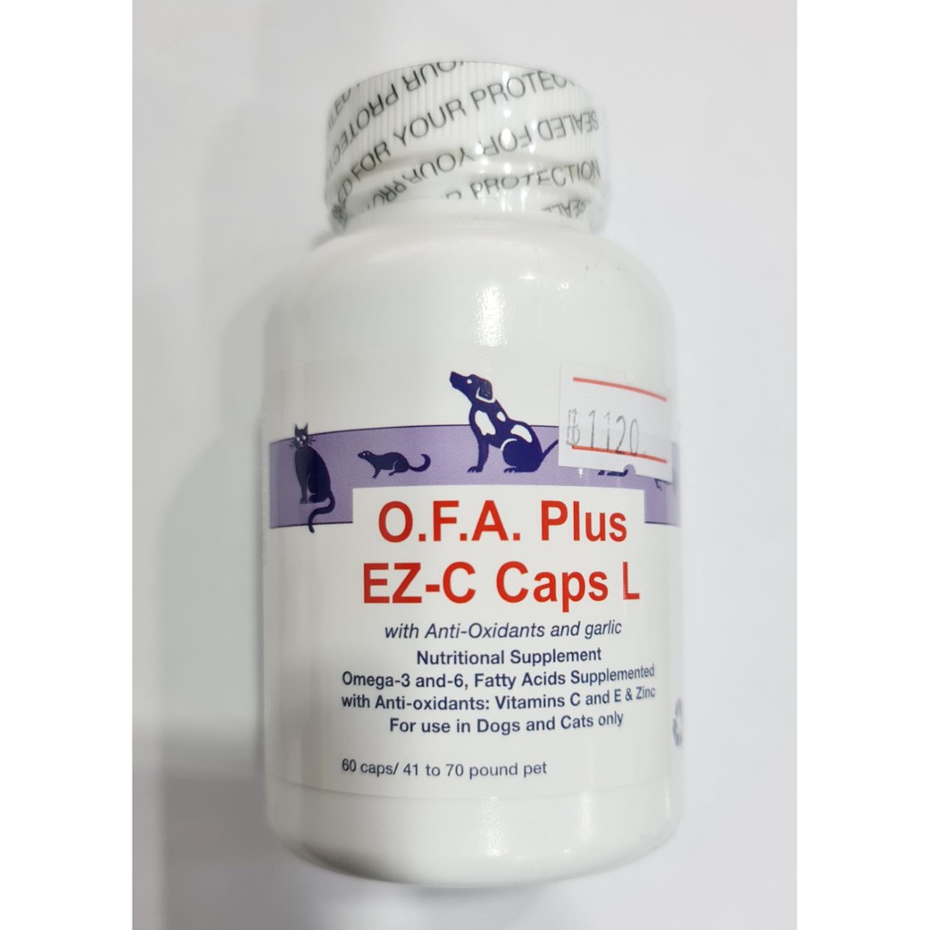 OFA Plus EZ-C Caps L (สุนัข 19 กก ขึ้นไป) บำรุงขนและผิวหนัง สุนัข ...