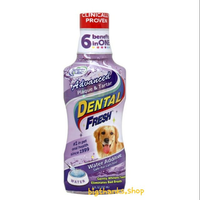 Dental Fresh Dog ม่วง ขนาด 503 มล.exp 10/26 น้ำยาบ้วนปากสุนัข ลดคราบ ...