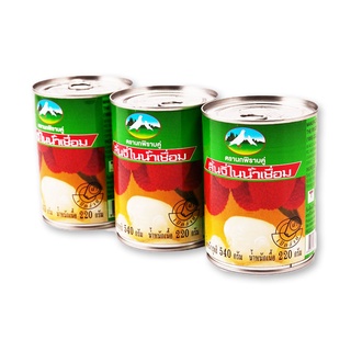 นกพิราบ ลิ้นจี่ในน้ำเชื่อม 540 กรัม x 3 กระป๋องPigeon Double Lychees Syrup 540 g x 3 Cans ...