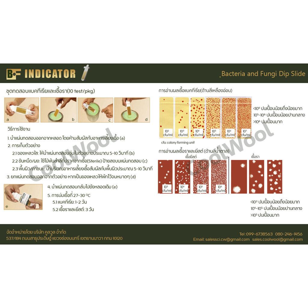 ชุดทดสอบเชื้อแบคทีเรีย เชื้อรา(10ชุด/กล่อง) Bacteria and Fungi Test kit ...