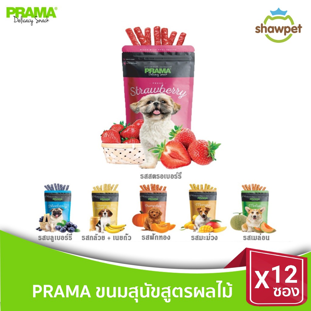Prama PRAMA Delicacy Snack พราม่า เดลิคาซี่ สแน็ค รสผลไม้ ขนมสำหรับ ...