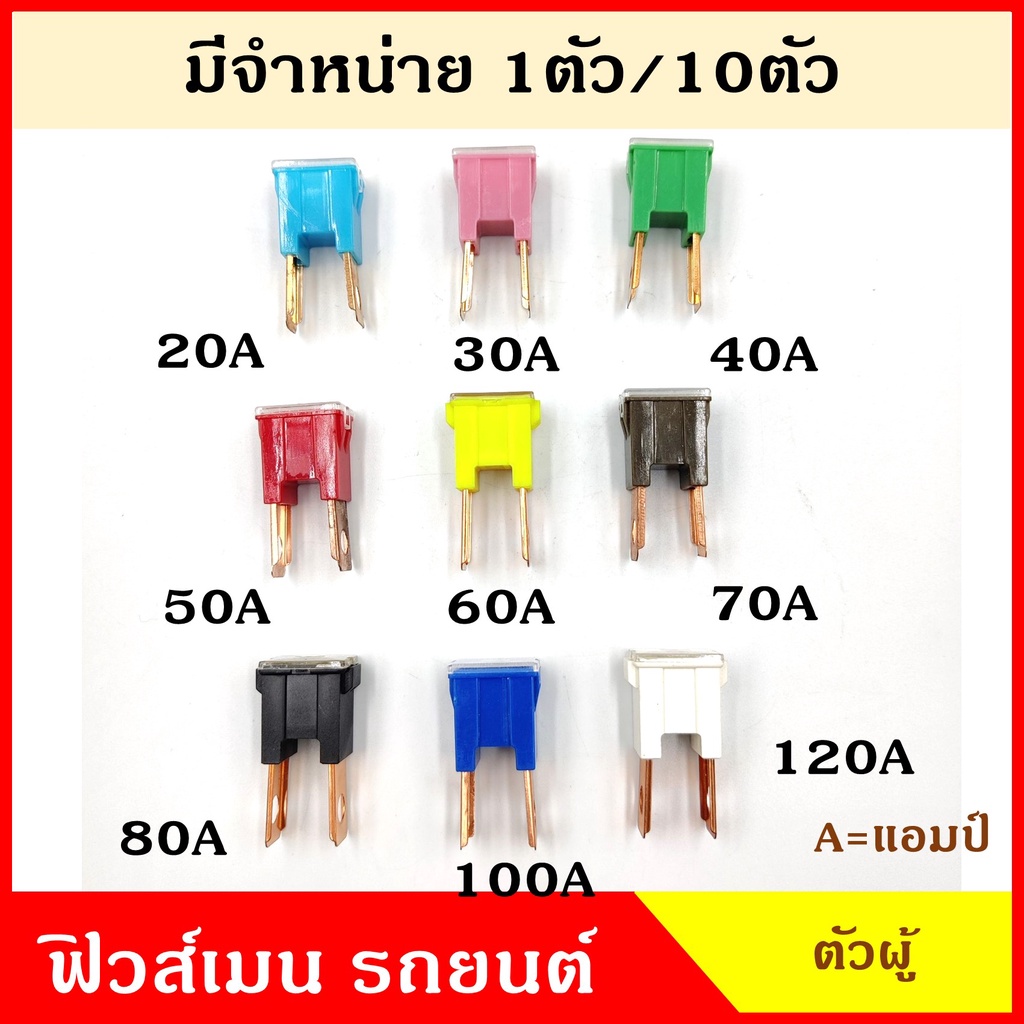 VERA ฟิวส์เมน ขาตรง FUSE MAIN 20A 30A 40A 50A 60A 70A 80A 100A 120A ฟิวส์เสียบ ฟิวส์รถยนต์ ราคา ...
