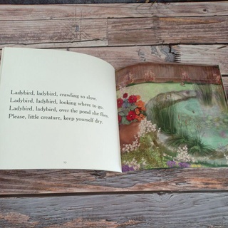 The Little Ladybird. by Sema osman , Rachel lemon (Illustrated ...